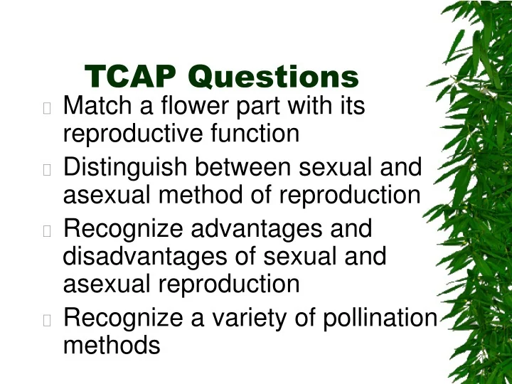 PPT - TCAP Questions PowerPoint Presentation, free download - ID:9338130