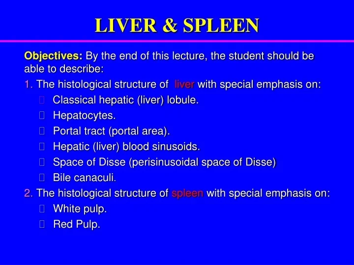 PPT - LIVER & SPLEEN PowerPoint Presentation, free download - ID:9341148