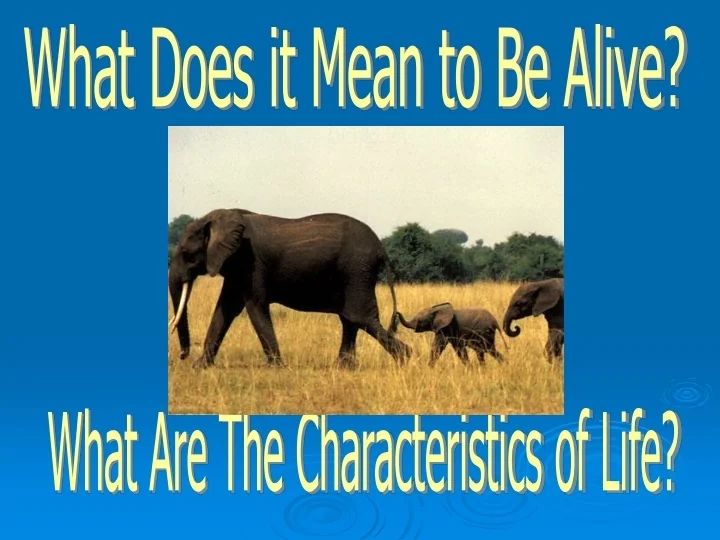 PPT - What Does it Mean to Be Alive? PowerPoint Presentation, free ...