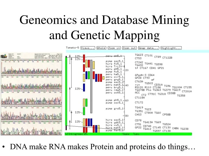 PPT - Geneomics and Database Mining and Genetic Mapping PowerPoint Presentation - ID:9347473
