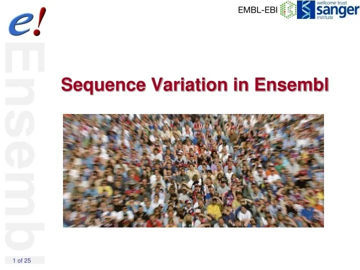 PPT - Sequence Variation in Ensembl PowerPoint Presentation, free ...