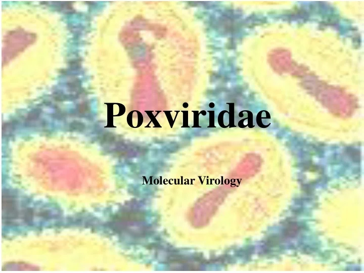 PPT - Poxviridae PowerPoint Presentation, free download - ID:9350184