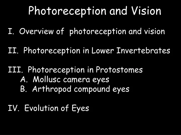 PPT - I. Overview of photoreception and vision II. Photoreception in ...