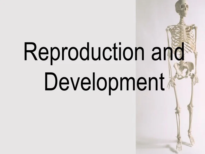 PPT - Reproduction and Development PowerPoint Presentation, free ...
