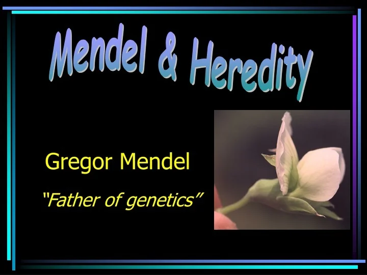 PPT - Gregor Mendel PowerPoint Presentation, free download - ID:9354161