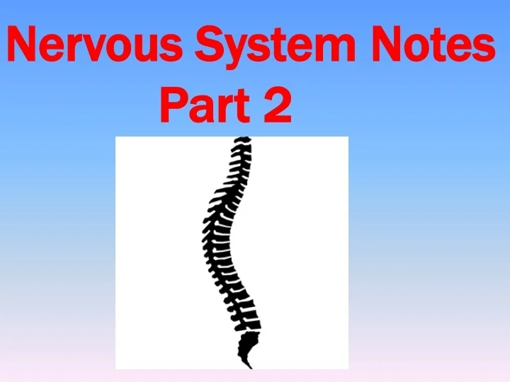 PPT - Nervous System Notes Part 2 PowerPoint Presentation, free ...