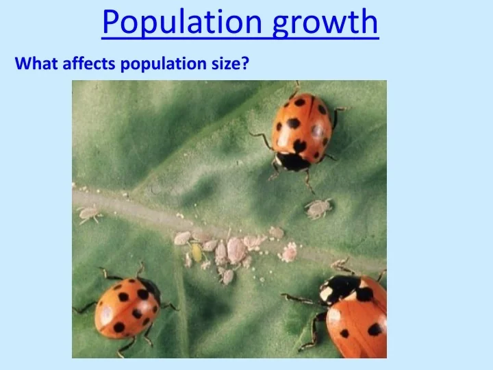 PPT - Population growth PowerPoint Presentation, free download - ID:9365618