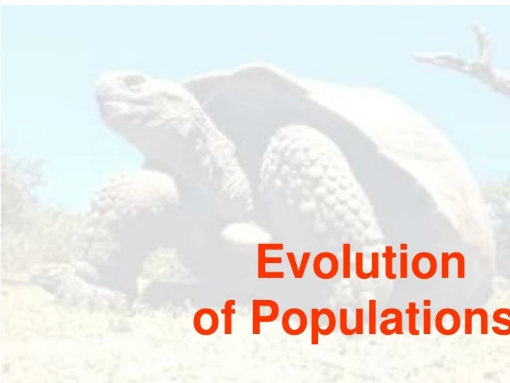 PPT - Evolution of Populations PowerPoint Presentation, free download ...