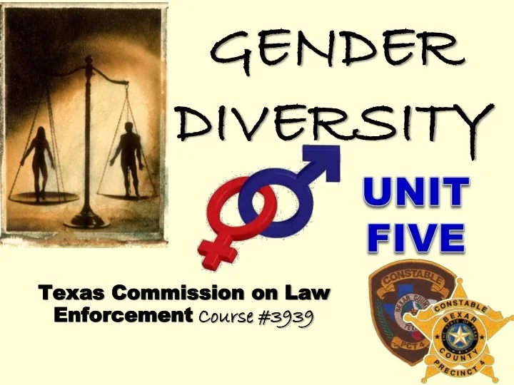 PPT - GENDER DIVERSITY PowerPoint Presentation, free download - ID:9367599