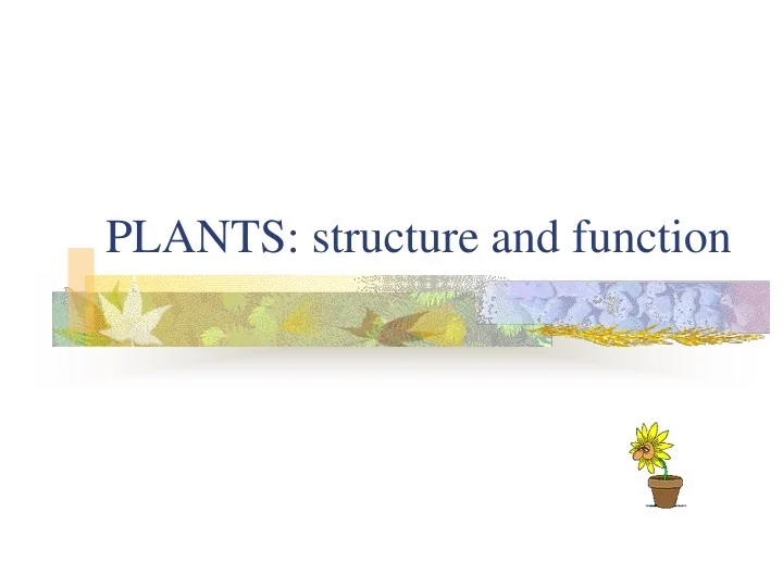 PPT - PLANTS: structure and function PowerPoint Presentation, free ...