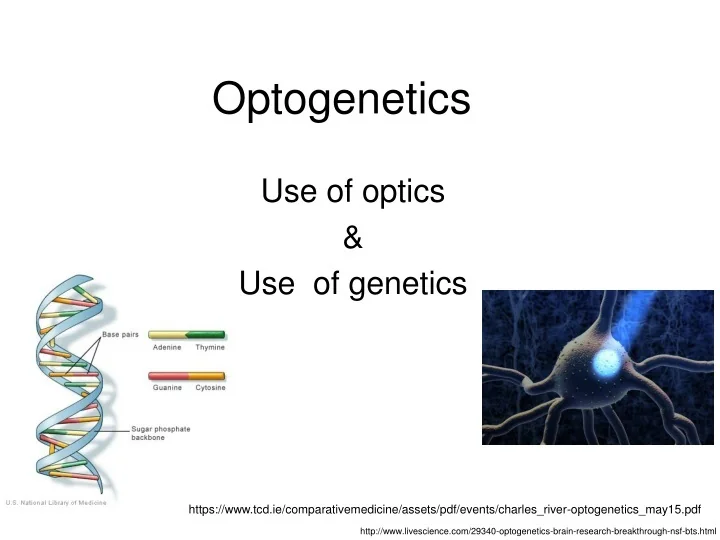 PPT - Optogenetics PowerPoint Presentation, free download - ID:9370903