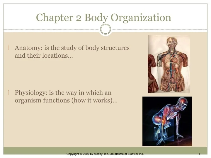PPT - Chapter 2 Body Organization PowerPoint Presentation, free ...