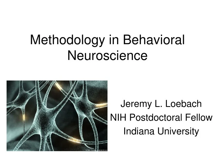 PPT - Methodology in Behavioral Neuroscience PowerPoint Presentation ...