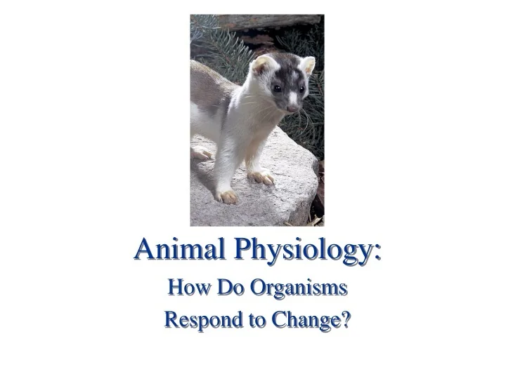 PPT - Animal Physiology: PowerPoint Presentation, free download - ID ...