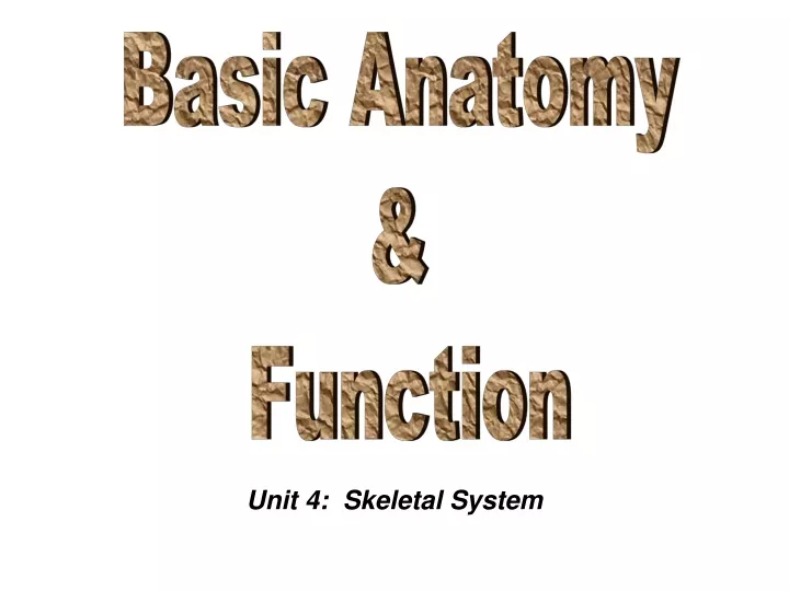 PPT - Unit 4: Skeletal System PowerPoint Presentation, free download ... PPT - Unit 4: Skeletal System PowerPoint Presentation, free download ...