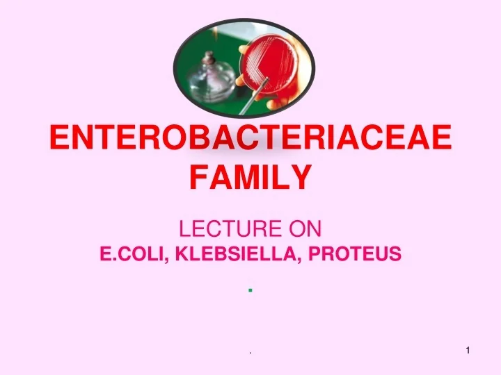 PPT - ENTEROBACTERIACEAE FAMILY PowerPoint Presentation, free download ...