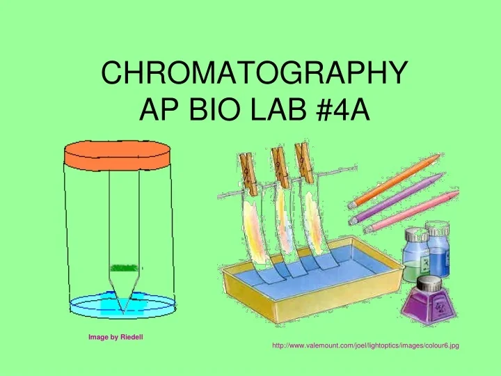 PPT - CHROMATOGRAPHY AP BIO LAB #4A PowerPoint Presentation, free download - ID:9385905
