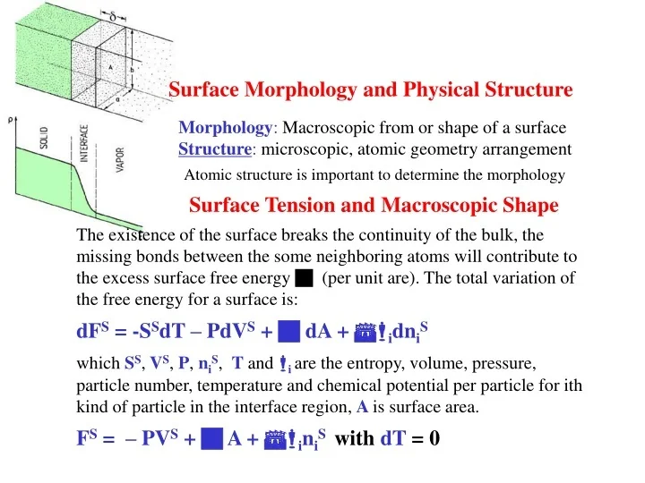 PPT - Surface Morphology and Physical Structure PowerPoint Presentation ...