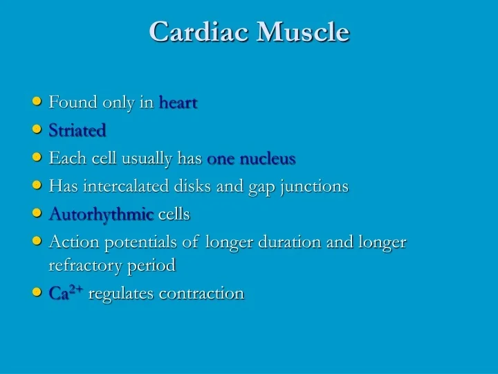 PPT - Cardiac Muscle PowerPoint Presentation, free download - ID:9387073