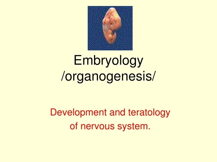 PPT - Embryology /organogenesis/ PowerPoint Presentation, free download ...