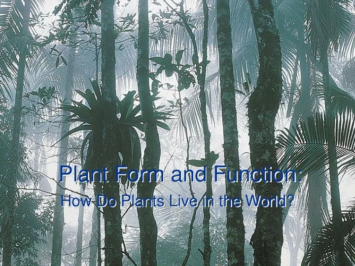 PPT - Plant Form and Function: PowerPoint Presentation, free download ...