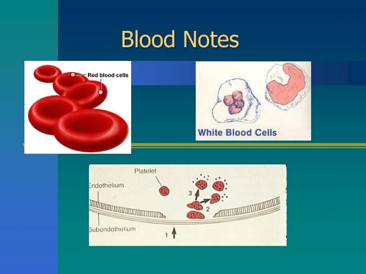 PPT - Blood Notes PowerPoint Presentation, free download - ID:9394893