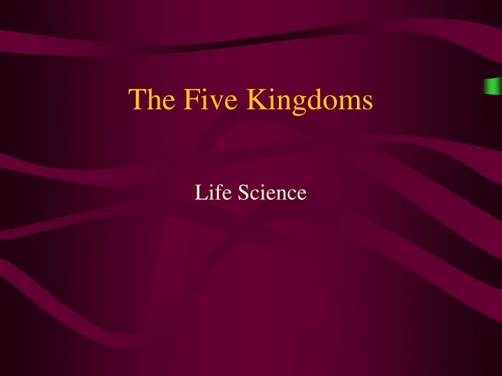 PPT - The Five Kingdoms PowerPoint Presentation, free download - ID:9395909