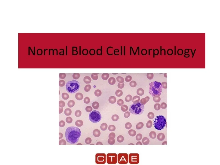 PPT - Normal Blood Cell Morphology PowerPoint Presentation, free ...