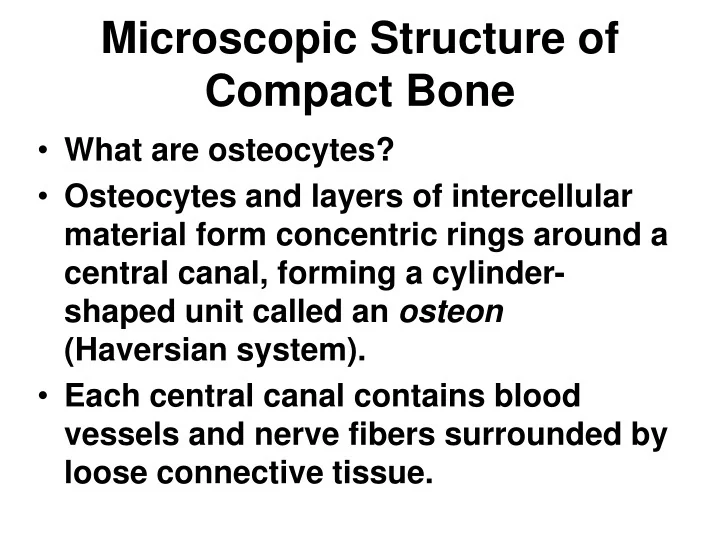 PPT - Microscopic Structure of Compact Bone PowerPoint Presentation ...