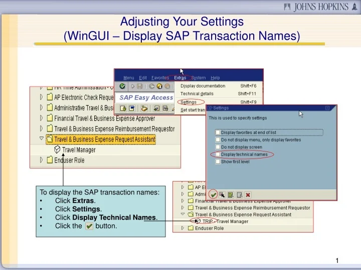 PPT - Adjusting Your Settings (WinGUI – Display SAP Transaction Names ...