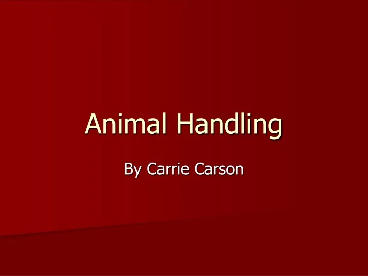 PPT - Animal Handling PowerPoint Presentation, free download - ID:9403576
