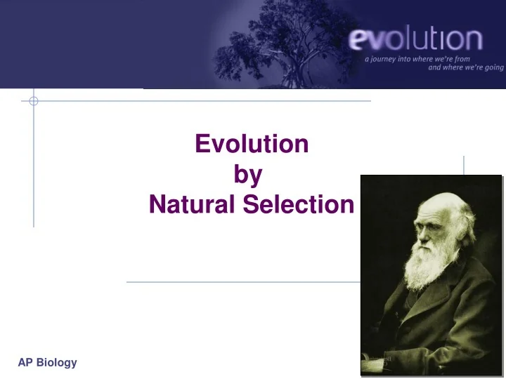 PPT - Evolution by Natural Selection PowerPoint Presentation, free download - ID:9404936