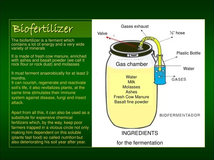 PPT - Biofertilizer PowerPoint Presentation, free download - ID:9406529