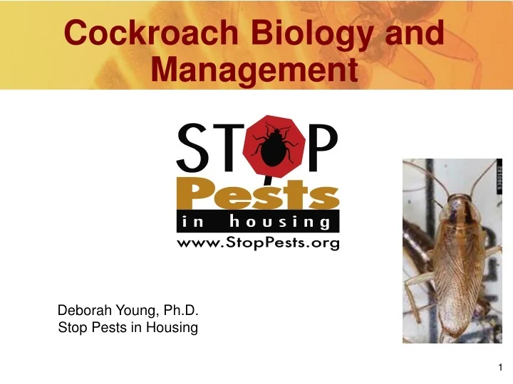PPT - Cockroach Biology and Management PowerPoint Presentation, free ...