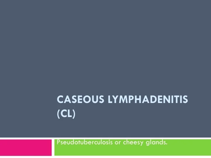 PPT - Caseous lymphadenitis (CL) PowerPoint Presentation, free download ...