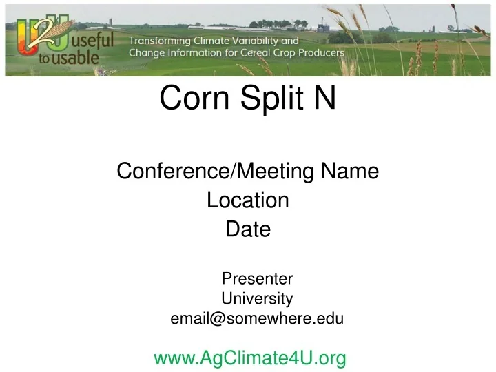 PPT - Corn Split N PowerPoint Presentation, free download - ID:9420669
