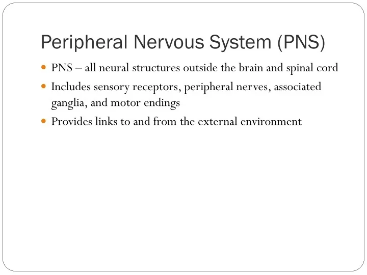 PPT - Peripheral Nervous System (PNS) PowerPoint Presentation, free ...