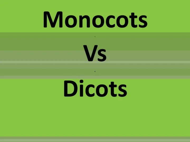 PPT - Monocots . Vs . Dicots PowerPoint Presentation, free download ...
