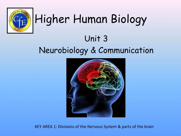 PPT - Higher Human Biology PowerPoint Presentation, free download - ID ...