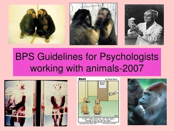 PPT - BPS Guidelines for Psychologists working with animals-2007 ...
