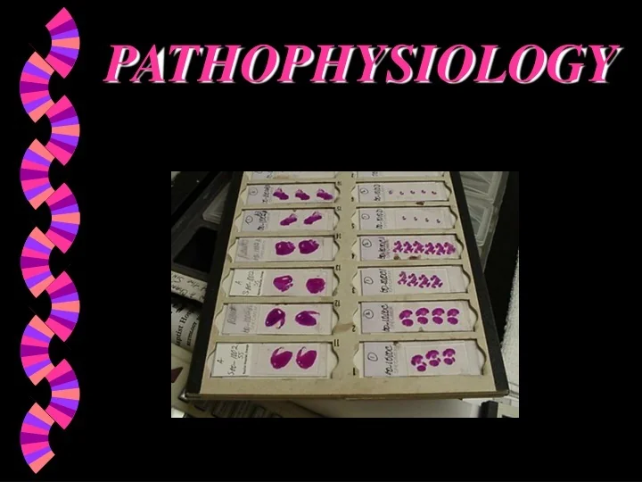 PPT - PATHOPHYSIOLOGY PowerPoint Presentation, free download - ID:9435186