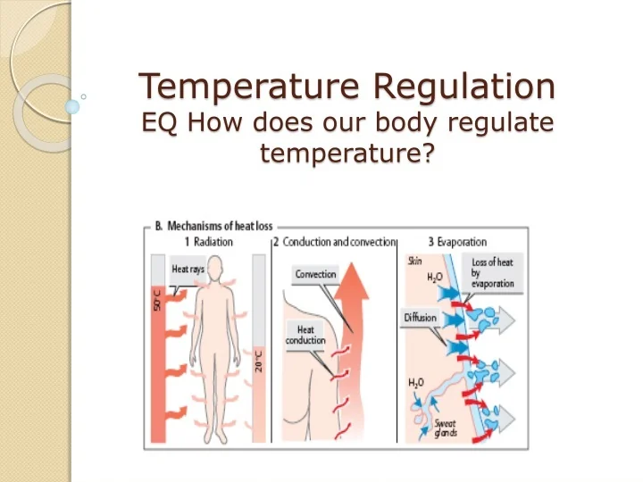 PPT - Temperature Regulation EQ How does our body regulate temperature ...