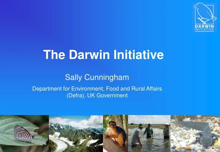 PPT - The Darwin Initiative PowerPoint Presentation, free download - ID ...