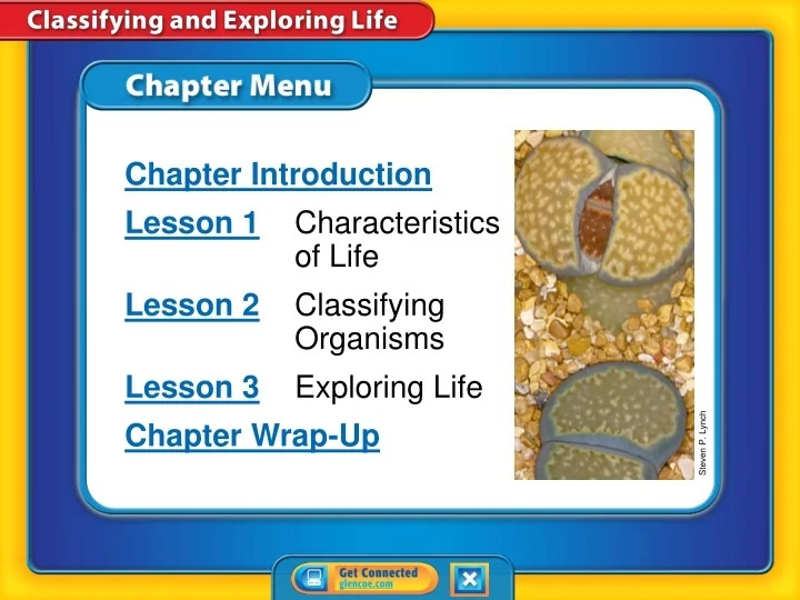 PPT - Chapter Menu PowerPoint Presentation, free download - ID:9448193