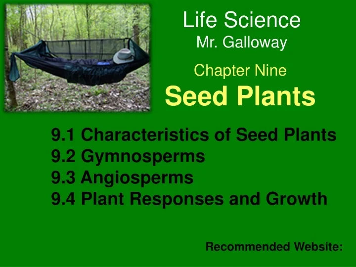 PPT - Recommended Website: PowerPoint Presentation, free download - ID ...