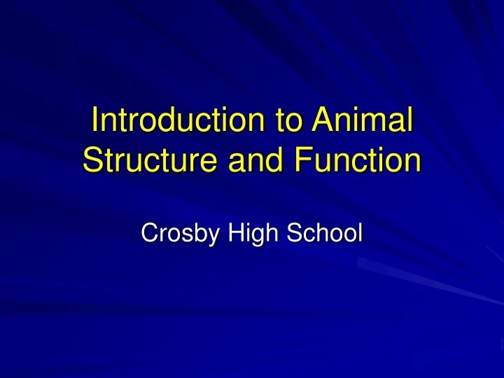 PPT - Introduction to Animal Structure and Function PowerPoint ...