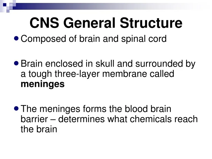 PPT - CNS General Structure PowerPoint Presentation, free download - ID ...