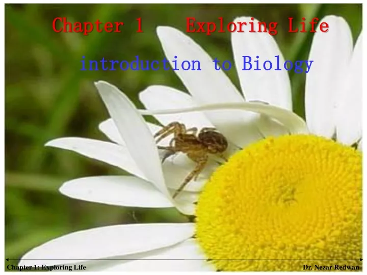 PPT - Chapter 1 Exploring Life PowerPoint Presentation, free download ... PPT - Chapter 1 Exploring Life PowerPoint Presentation, free download ...