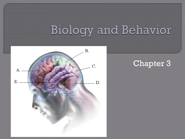 PPT - Biology and Behavior PowerPoint Presentation, free download - ID ...