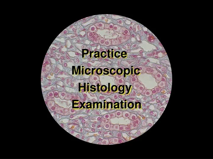 PPT - Practice Microscopic Histology Examination PowerPoint ...
